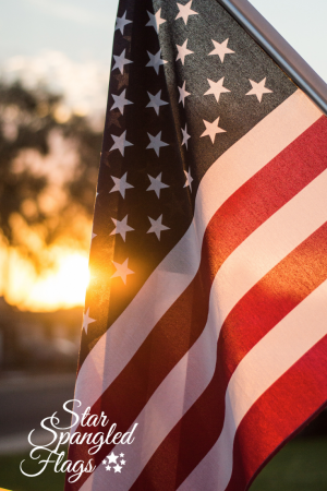 How to sell leave days - StarSpangledFlags.com