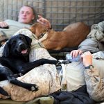 Top US Air Force Bases to Live On - Star Spangled Flags