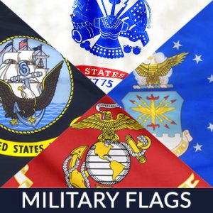 What is BASD in the U.S. Army? - Star Spangled Flags