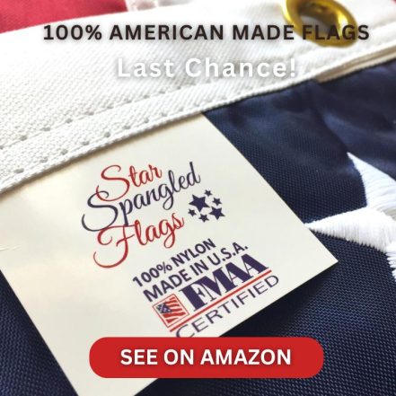 How To Properly Dispose of an American Flag (& Locations ...